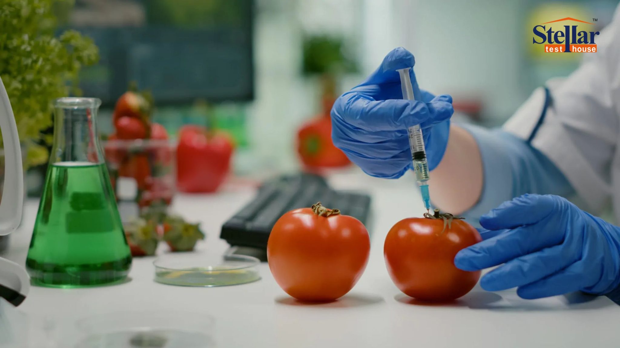 How to Choose the Right Food Testing laboratory for your business